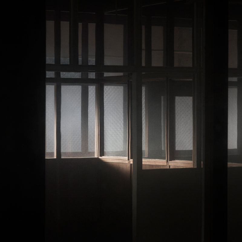 Fotografia – Nelson Miranda